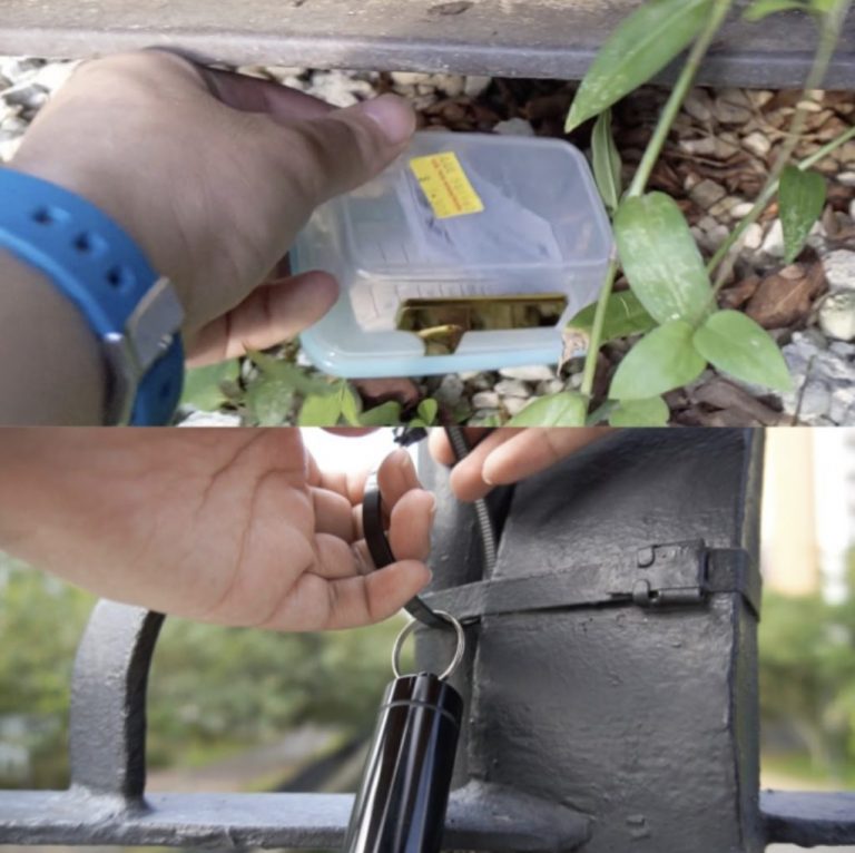 Geocaching: A Modern Take on Treasure Hunting – The UrbanWire